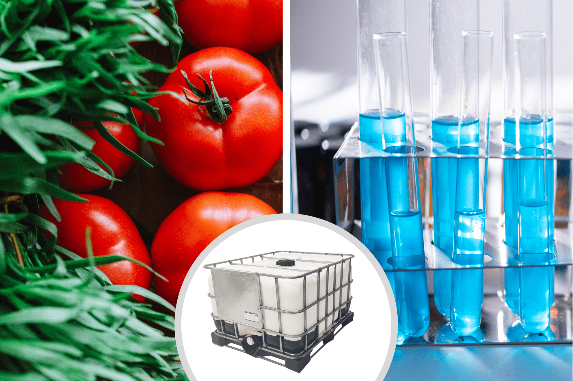 Core Plastech International Inc.